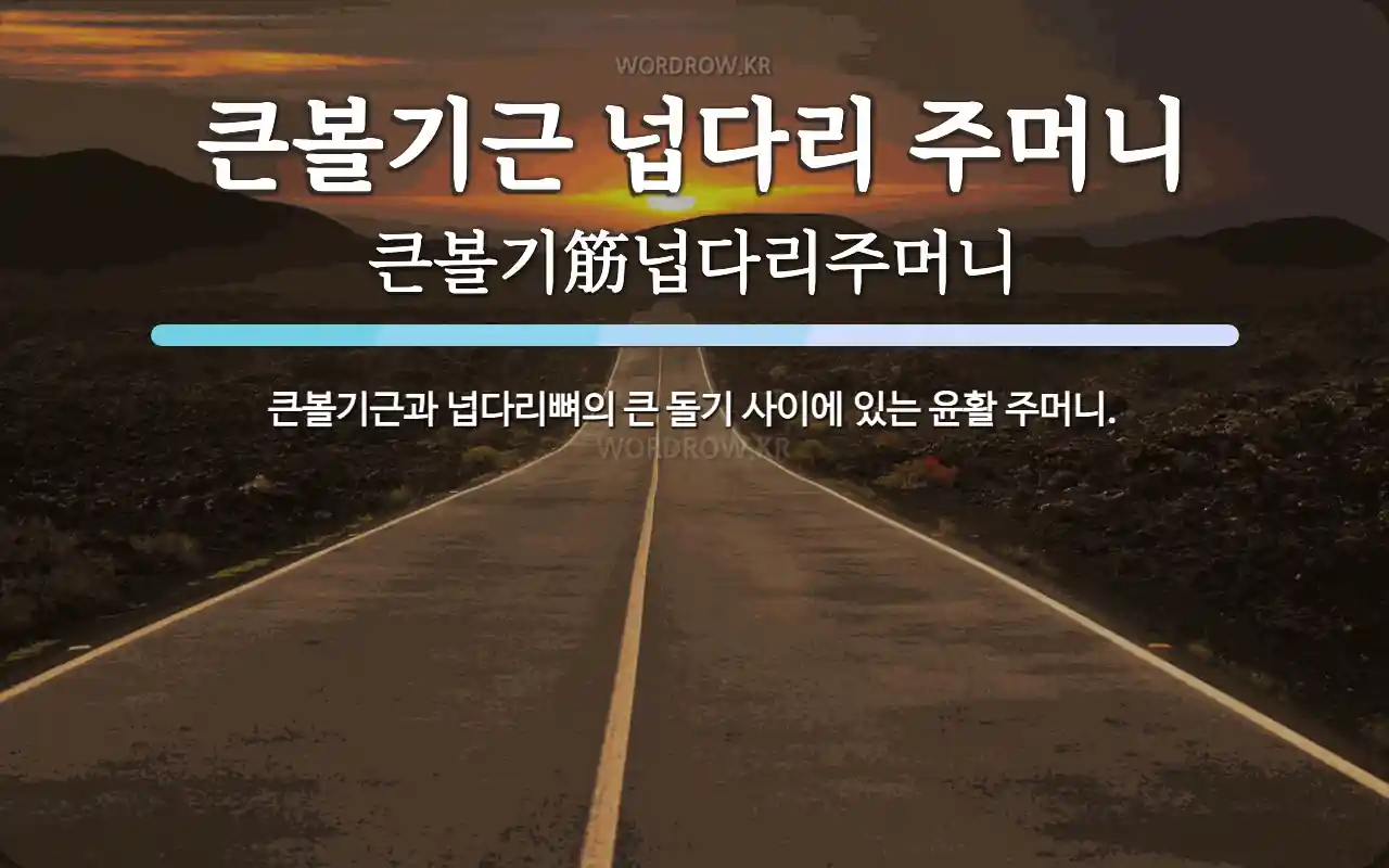 큰볼기근 넙다리 주머니 뜻 큰볼기근과 넙다리뼈의 큰 돌기 사이에 있는 윤활 주머니