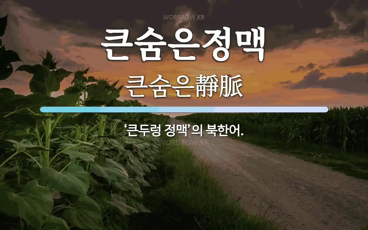 큰숨은정맥 뜻 ‘큰두렁 정맥의 북한어
