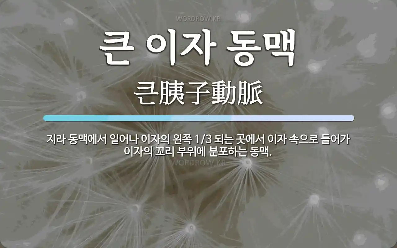 큰 이자 동맥 뜻 지라 동맥에서 일어나 이자의 왼쪽 13 되는 곳에서 이자 속으로 들어가 이자의 꼬리 부위