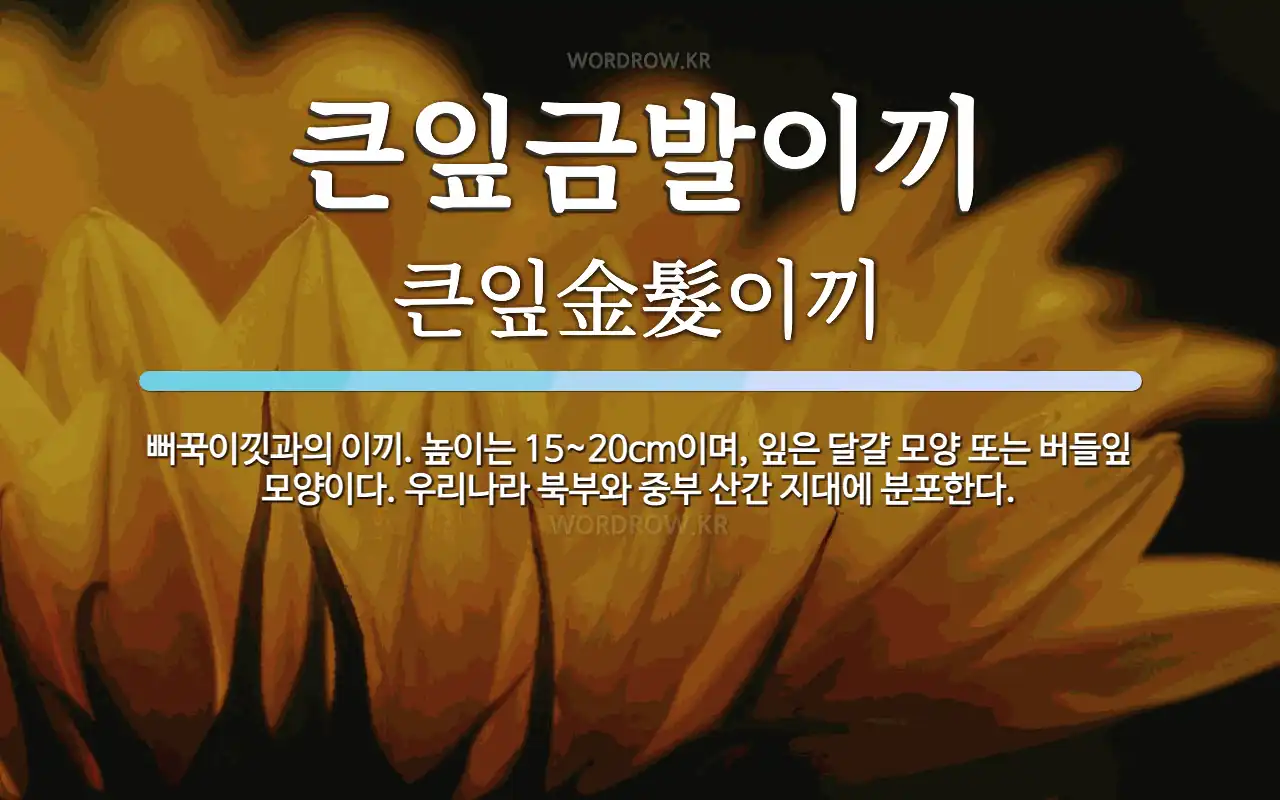 큰잎금발이끼 뜻 뻐꾹이낏과의 이끼 높이는 15~20cm이며 잎은 달걀 모양 또는 버들잎 모양이다 우리