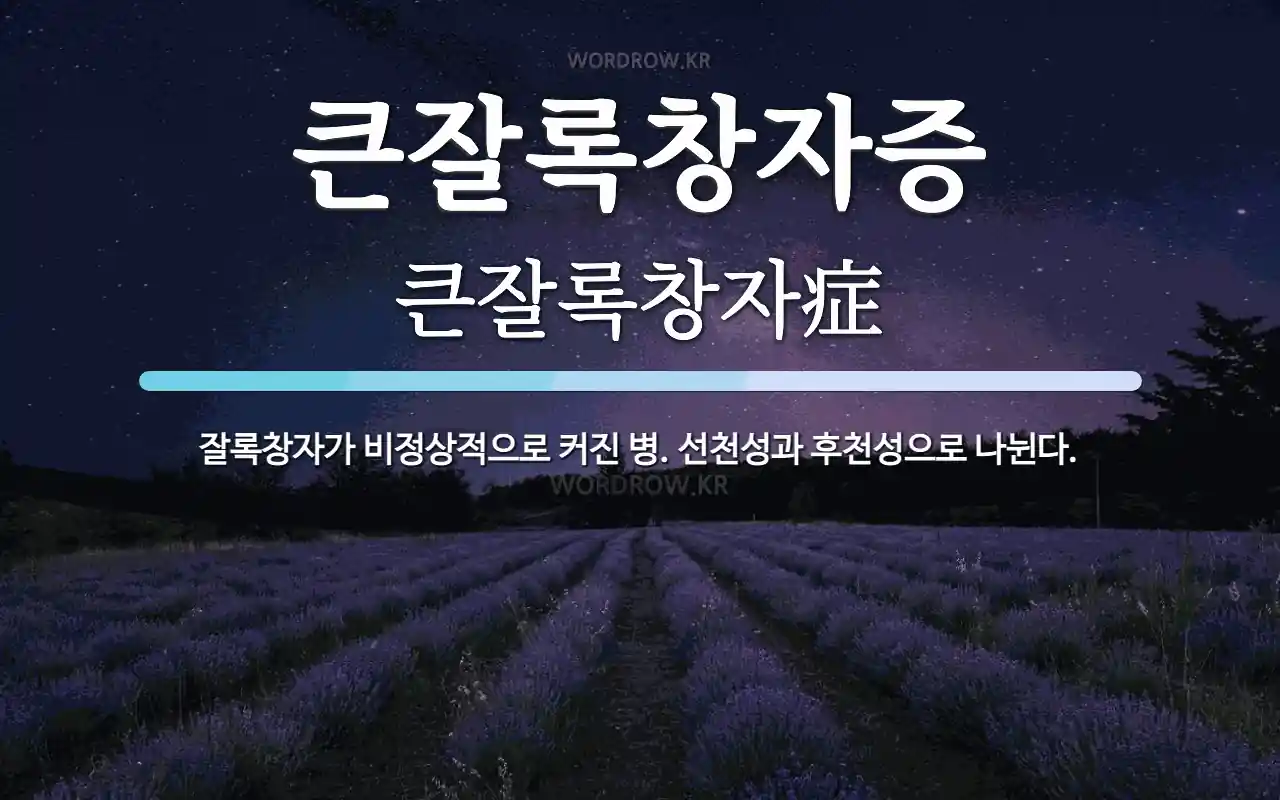 큰잘록창자증 뜻 잘록창자가 비정상적으로 커진 병 선천성과 후천성으로 나뉜다