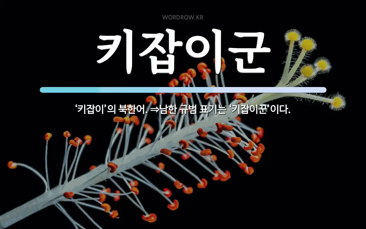 키잡이군 뜻 ‘키잡이의 북한어 ⇒남한 규범 표기는 ‘키잡이꾼이다
