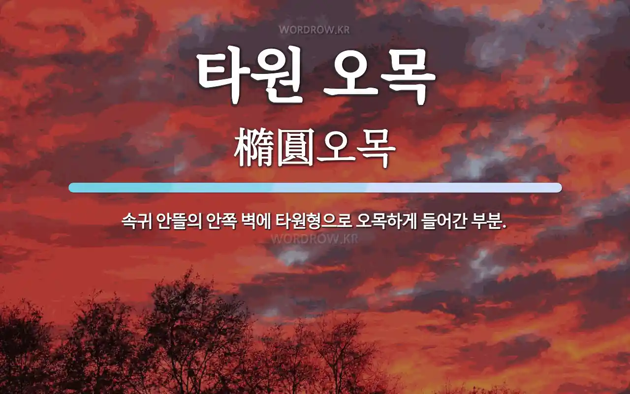 타원 오목 뜻 속귀 안뜰의 안쪽 벽에 타원형으로 오목하게 들어간 부분