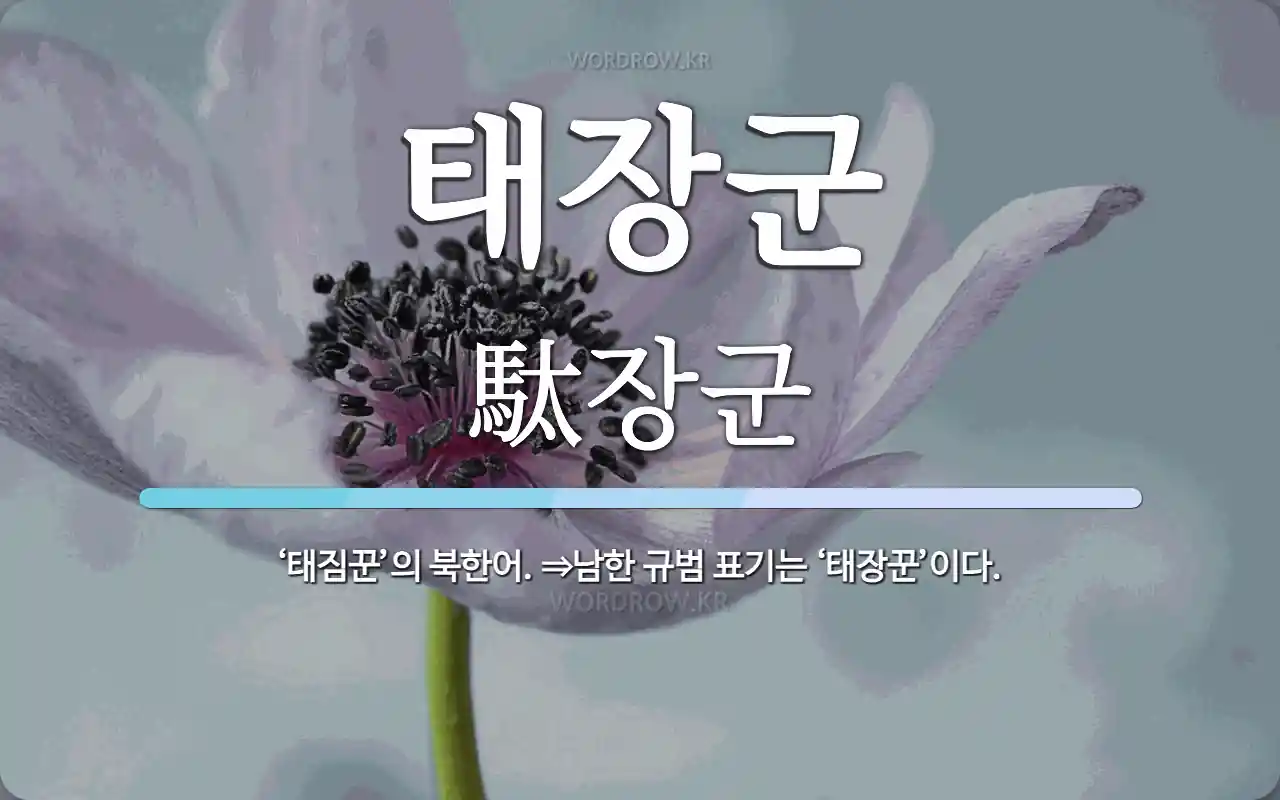 태장군 뜻 ‘태짐꾼의 북한어 ⇒남한 규범 표기는 ‘태장꾼이다