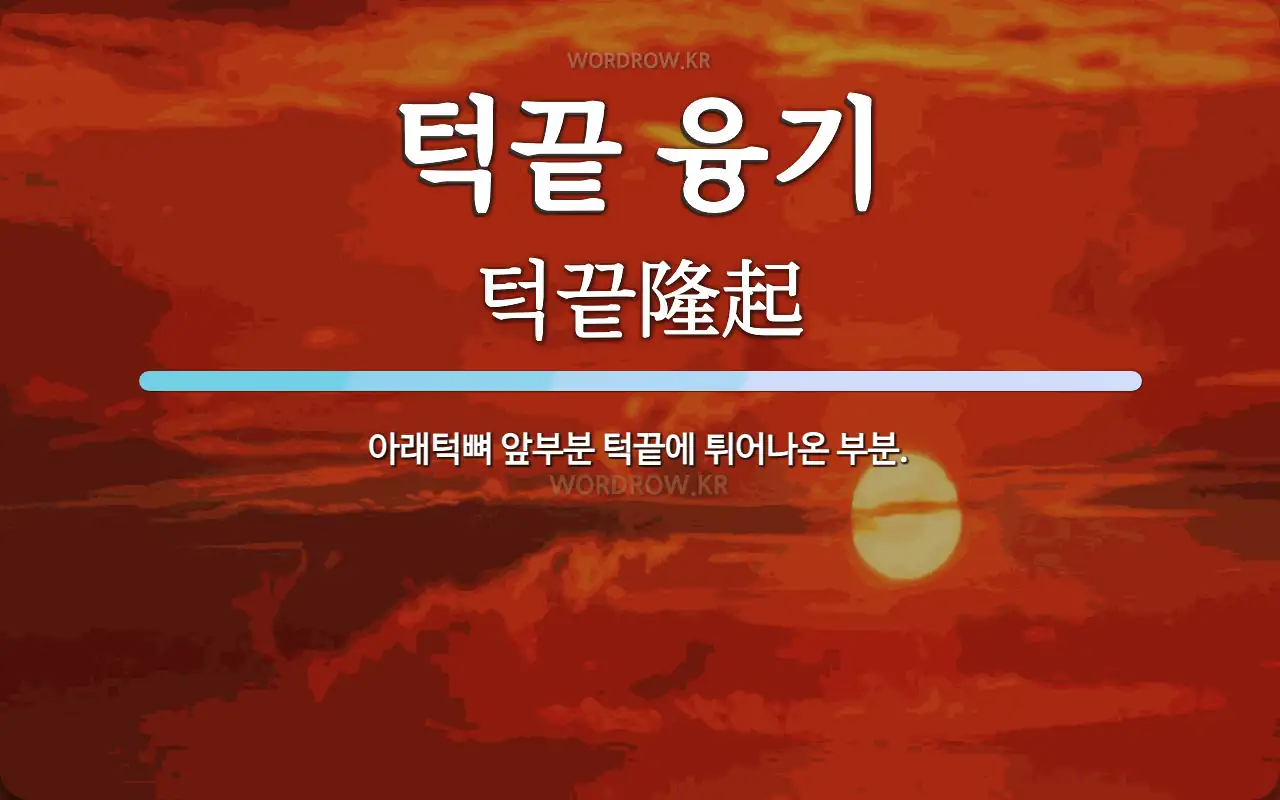 턱끝 융기 뜻 아래턱뼈 앞부분 턱끝에 튀어나온 부분