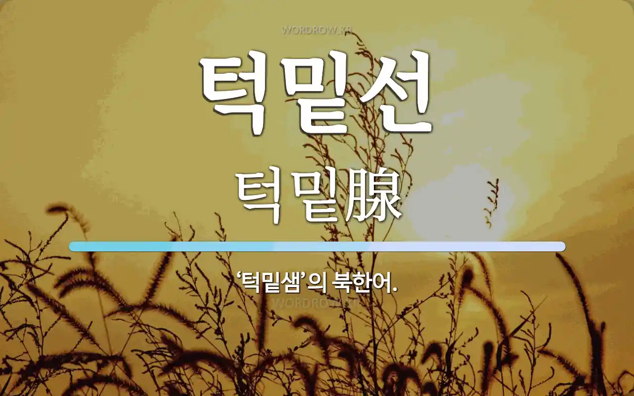 턱밑선 뜻 ‘턱밑샘의 북한어