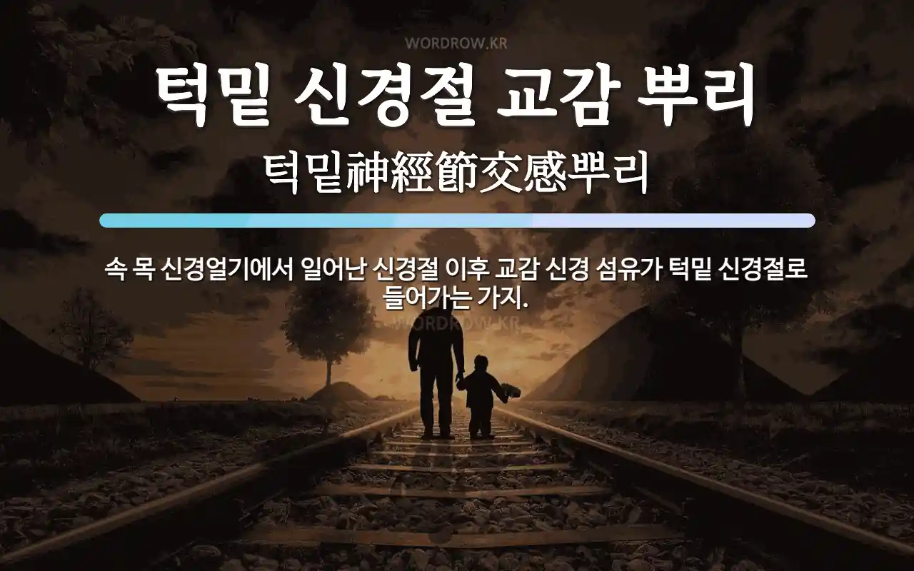 턱밑 신경절 교감 뿌리 뜻 속 목 신경얼기에서 일어난 신경절 이후 교감 신경 섬유가 턱밑 신경절로 들어가는 가지