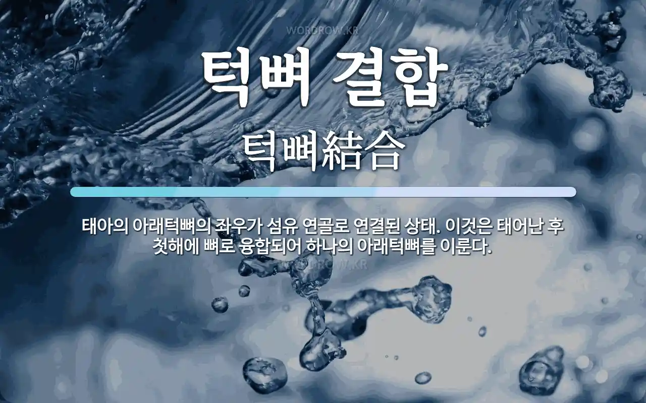 턱뼈 결합 뜻 태아의 아래턱뼈의 좌우가 섬유 연골로 연결된 상태 이것은 태어난 후 첫해에 뼈로 융합되어
