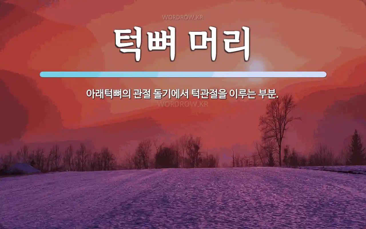 턱뼈 머리 뜻 아래턱뼈의 관절 돌기에서 턱관절을 이루는 부분