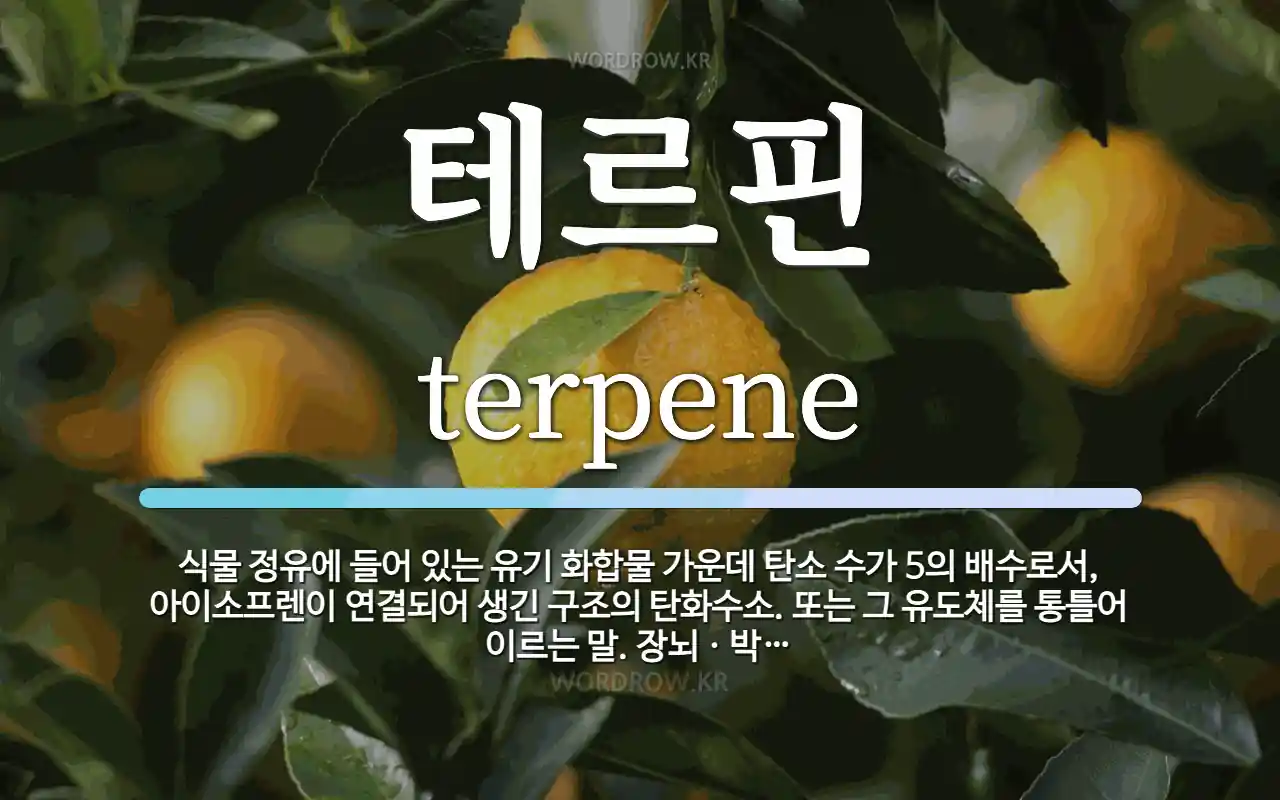 테르핀 뜻 식물 정유에 들어 있는 유기 화합물 가운데 탄소 수가 5의 배수로서 아이소프렌이 연결되어