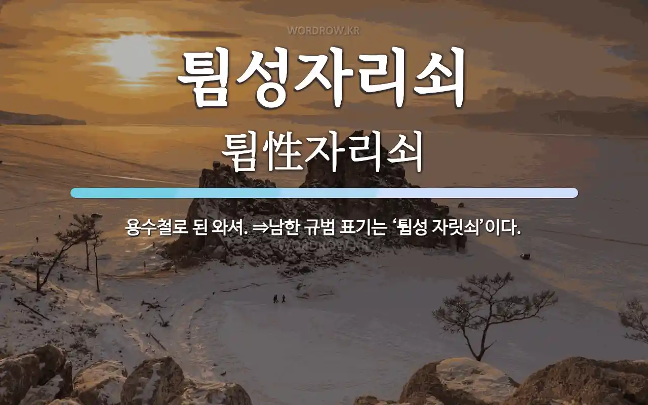 튐성자리쇠 뜻 용수철로 된 와셔 ⇒남한 규범 표기는 ‘튐성 자릿쇠이다