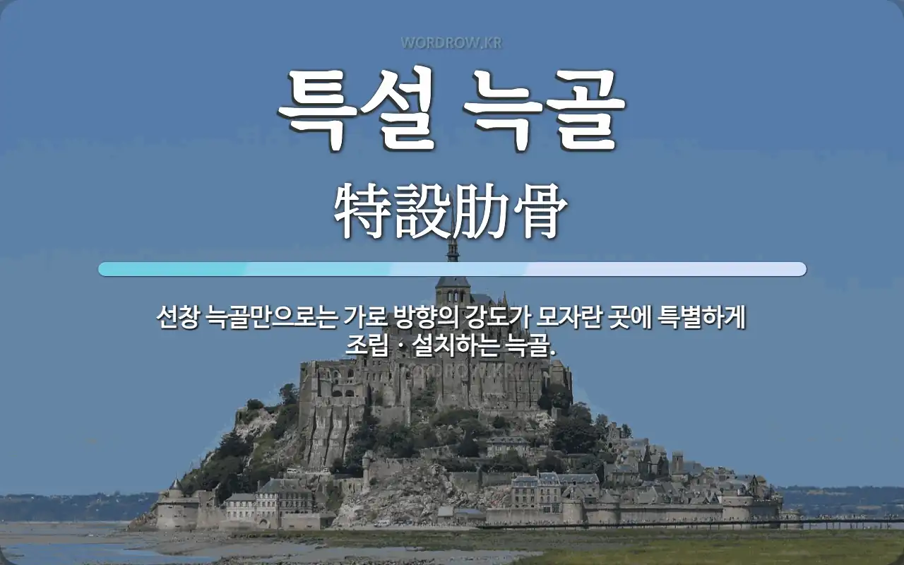 특설 늑골 뜻 선창 늑골만으로는 가로 방향의 강도가 모자란 곳에 특별하게 조립ㆍ설치하는 늑골