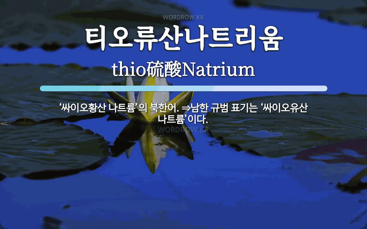 티오류산나트리움 뜻 ‘싸이오황산 나트륨의 북한어 ⇒남한 규범 표기는 ‘싸이오유산 나트륨이다
