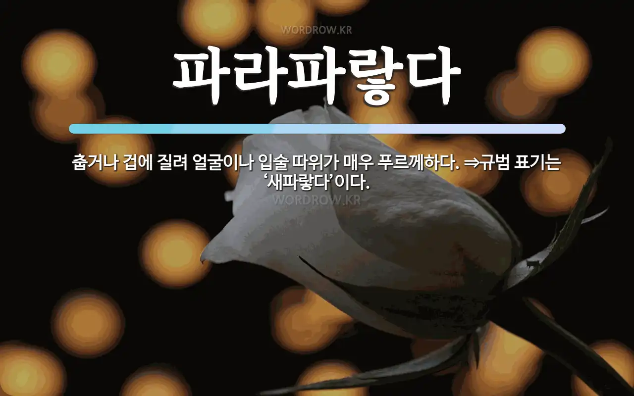 파라파랗다 뜻 춥거나 겁에 질려 얼굴이나 입술 따위가 매우 푸르께하다 ⇒규범 표기는 ‘새파랗다이다