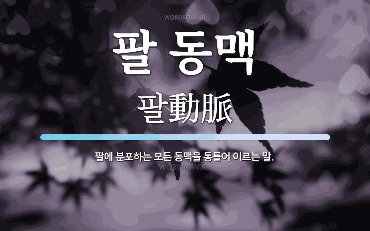 팔 동맥 뜻 팔에 분포하는 모든 동맥을 통틀어 이르는 말
