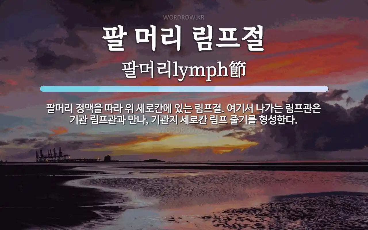 팔 머리 림프절 뜻 팔머리 정맥을 따라 위 세로칸에 있는 림프절 여기서 나가는 림프관은 기관 림프관과 만나