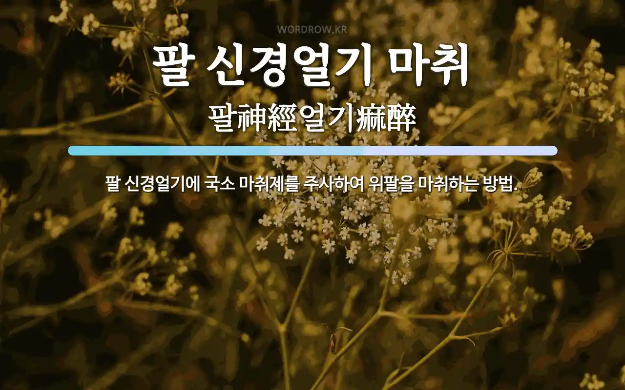 팔 신경얼기 마취 뜻 팔 신경얼기에 국소 마취제를 주사하여 위팔을 마취하는 방법