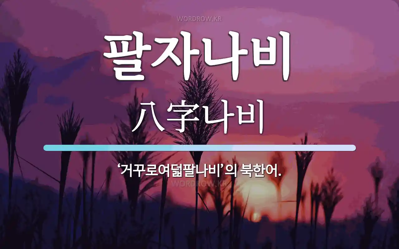 팔자나비 뜻 ‘거꾸로여덟팔나비의 북한어