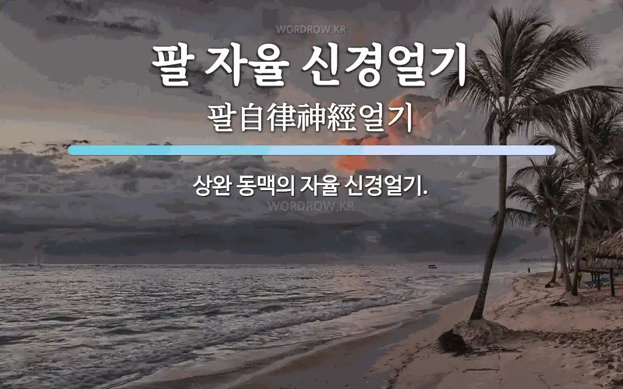 팔 자율 신경얼기 뜻 상완 동맥의 자율 신경얼기