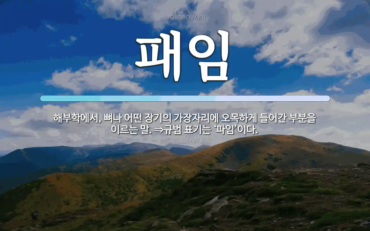 패임 뜻 해부학에서 뼈나 어떤 장기의 가장자리에 오목하게 들어간 부분을 이르는 말 ⇒규범 표기는