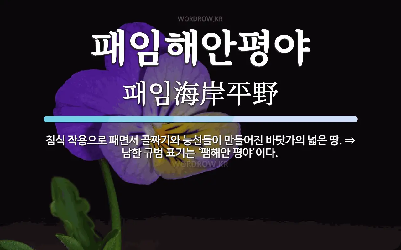 패임해안평야 뜻 침식 작용으로 패면서 골짜기와 능선들이 만들어진 바닷가의 넓은 땅 ⇒남한 규범 표기는