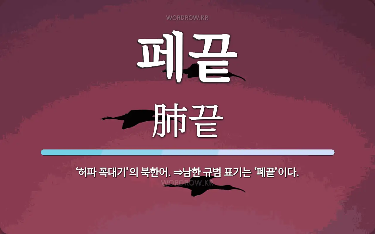 페끝 뜻 ‘허파 꼭대기의 북한어 ⇒남한 규범 표기는 ‘폐끝이다