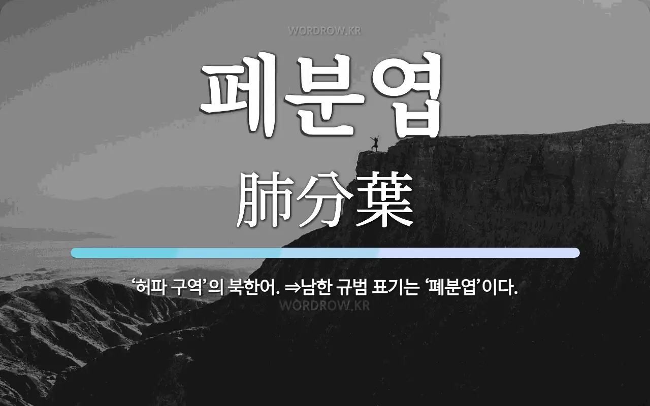 페분엽 뜻 ‘허파 구역의 북한어 ⇒남한 규범 표기는 ‘폐분엽이다