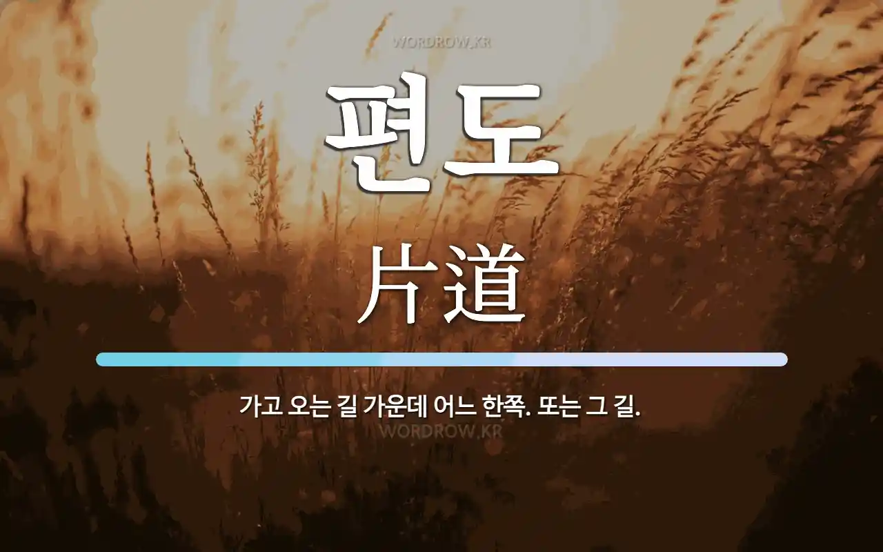 편도 뜻 가고 오는 길 가운데 어느 한쪽 또는 그 길