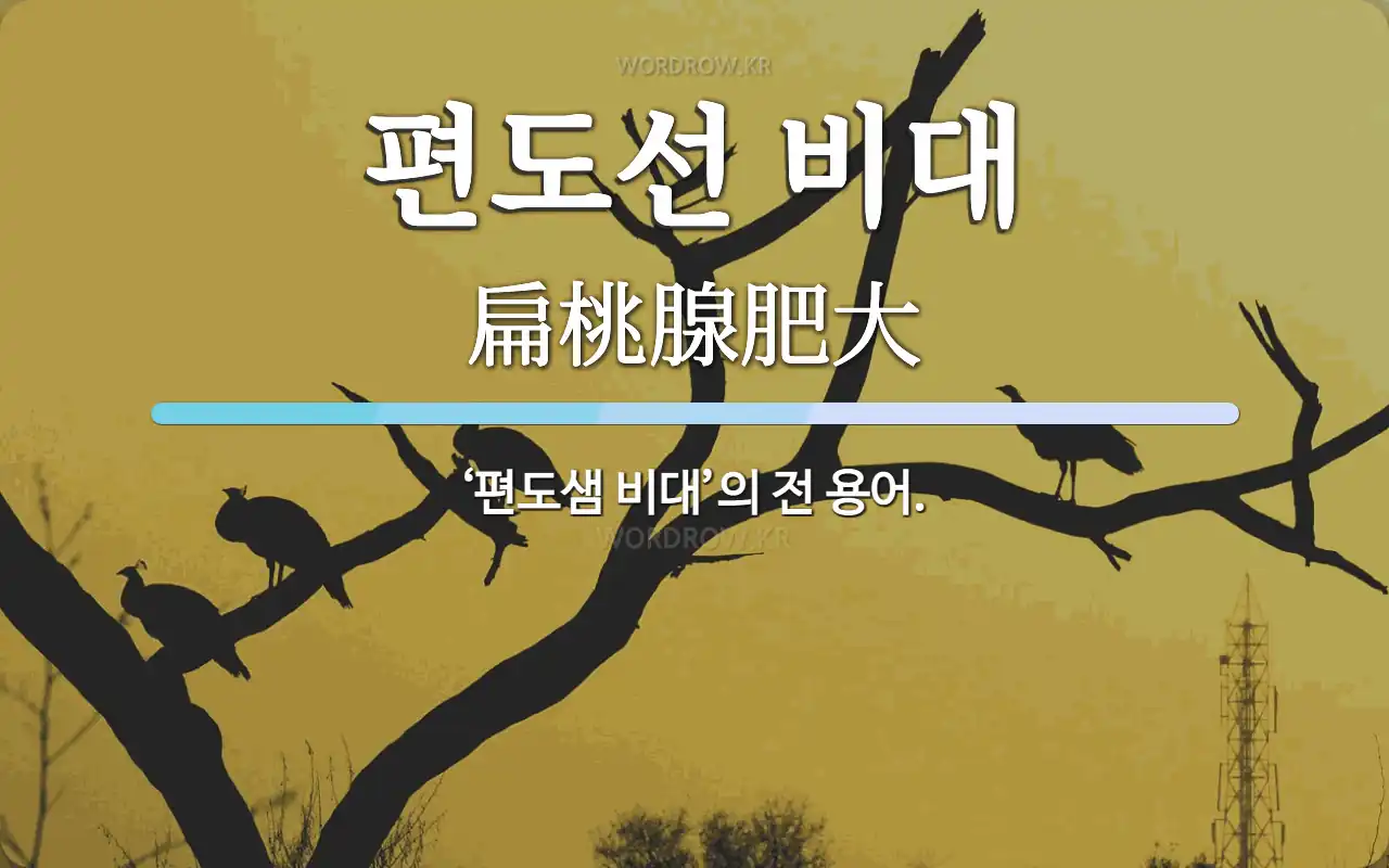 편도선 비대 뜻 ‘편도샘 비대의 전 용어