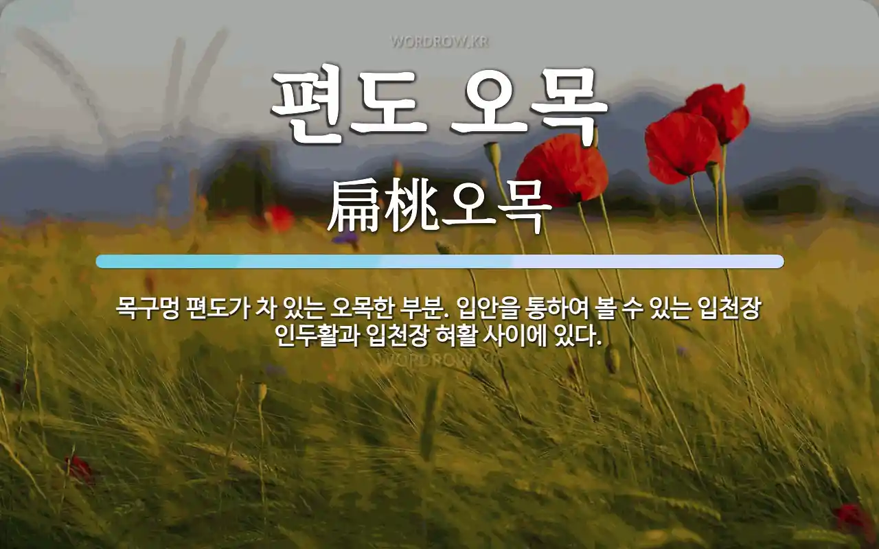 편도 오목 뜻 목구멍 편도가 차 있는 오목한 부분 입안을 통하여 볼 수 있는 입천장 인두활과 입천장 혀