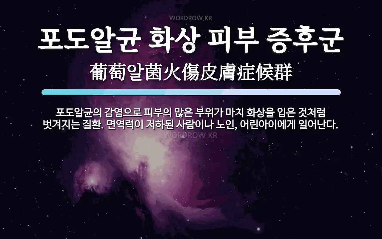 포도알균 화상 피부 증후군 뜻 포도알균의 감염으로 피부의 많은 부위가 마치 화상을 입은 것처럼 벗겨지는 질환 면역력이