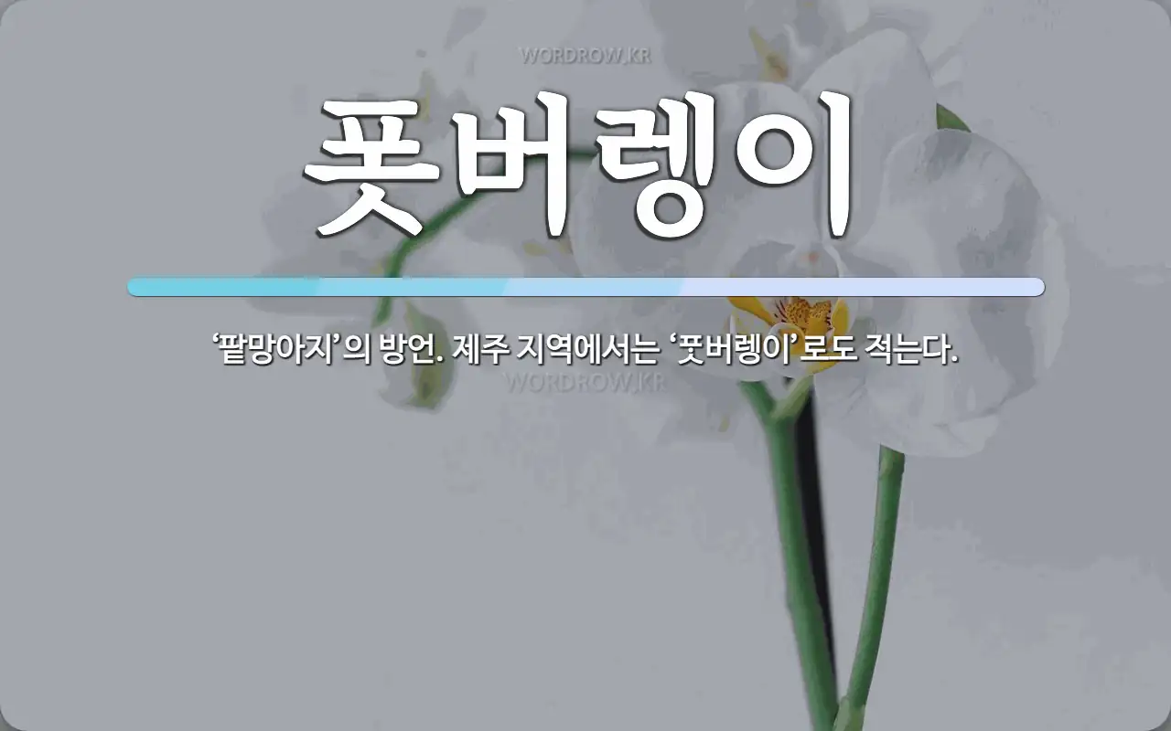 폿버렝이 뜻 ‘팥망아지의 방언 제주 지역에서는 ‘uf498버렝이로도 적는다