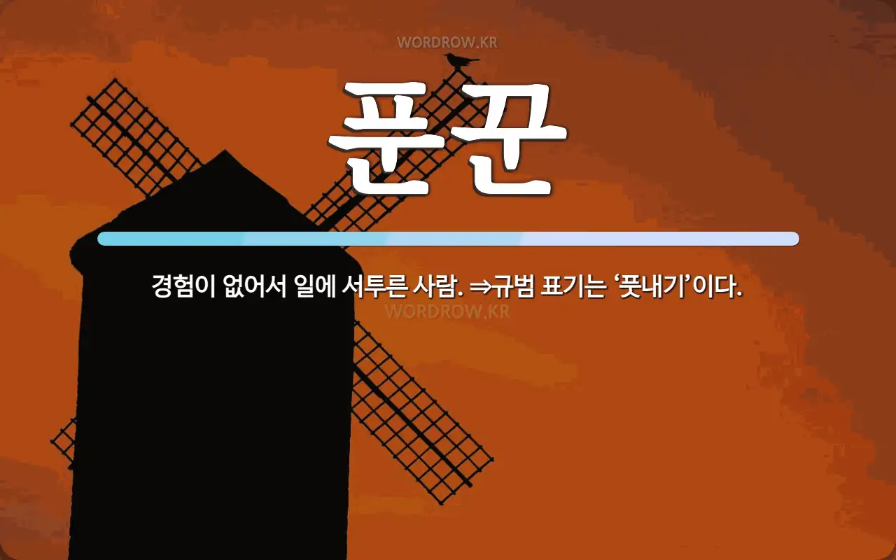푼꾼 뜻 경험이 없어서 일에 서투른 사람 ⇒규범 표기는 ‘풋내기이다