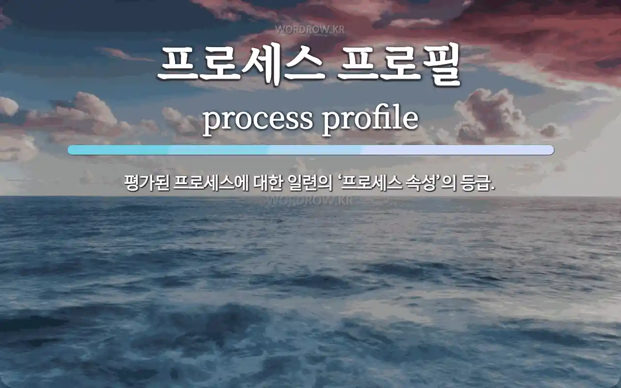 프로세스 프로필 뜻 평가된 프로세스에 대한 일련의 ‘프로세스 속성의 등급