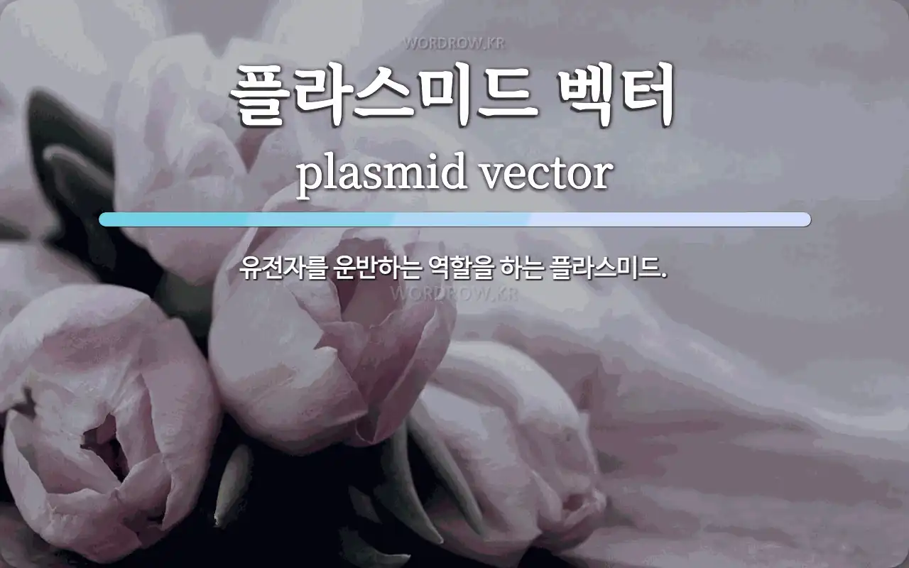 플라스미드 벡터 뜻 유전자를 운반하는 역할을 하는 플라스미드