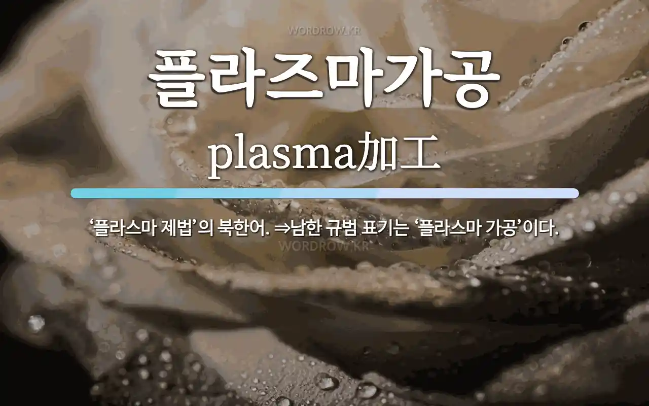 플라즈마가공 뜻 ‘플라스마 제법의 북한어 ⇒남한 규범 표기는 ‘플라스마 가공이다