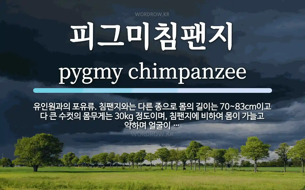 피그미침팬지 뜻 유인원과의 포유류 침팬지와는 다른 종으로 몸의 길이는 70~83cm이고 다 큰 수컷의 몸