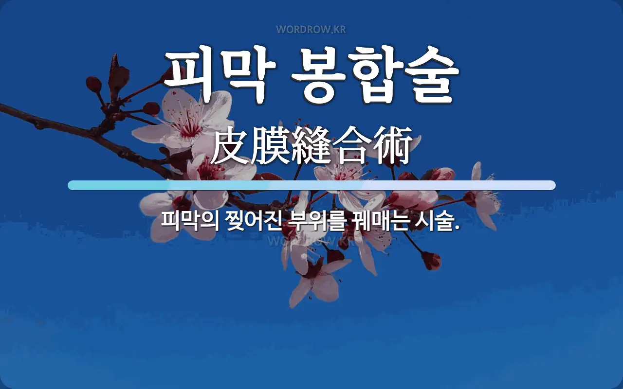 피막 봉합술 뜻 피막의 찢어진 부위를 꿰매는 시술
