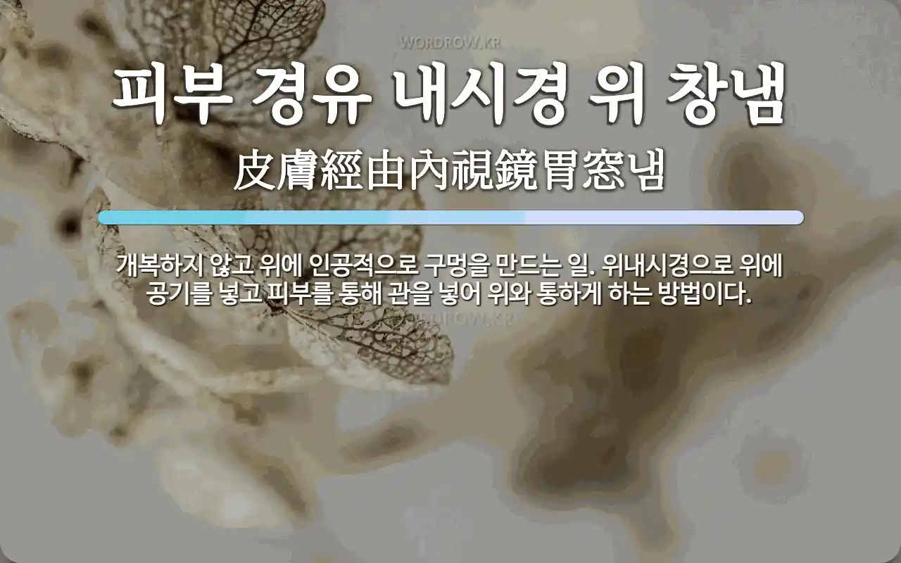 피부 경유 내시경 위 창냄 뜻 개복하지 않고 위에 인공적으로 구멍을 만드는 일 위내시경으로 위에 공기를 넣고 피부를 통