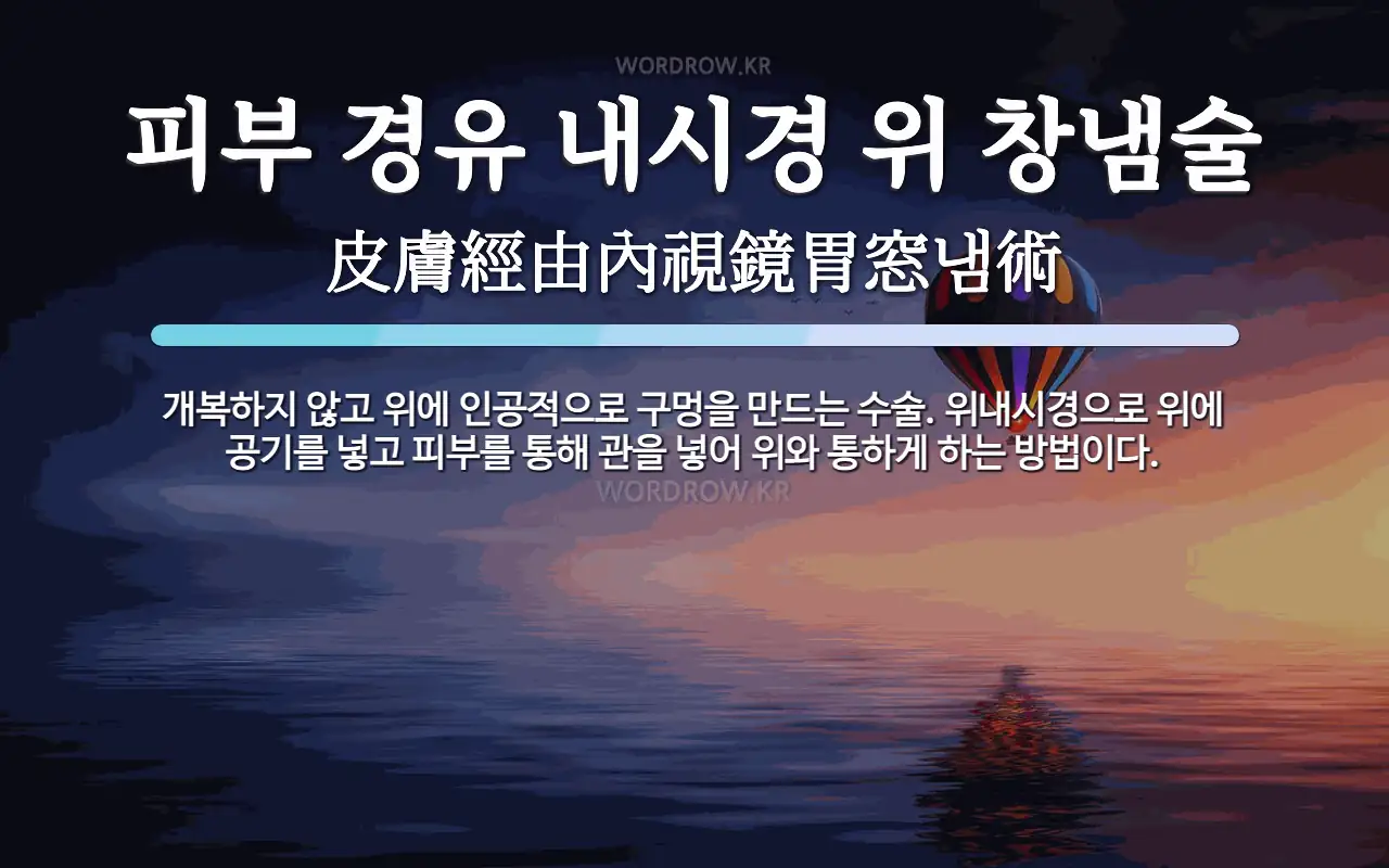 피부 경유 내시경 위 창냄술 뜻 개복하지 않고 위에 인공적으로 구멍을 만드는 수술 위내시경으로 위에 공기를 넣고 피부를