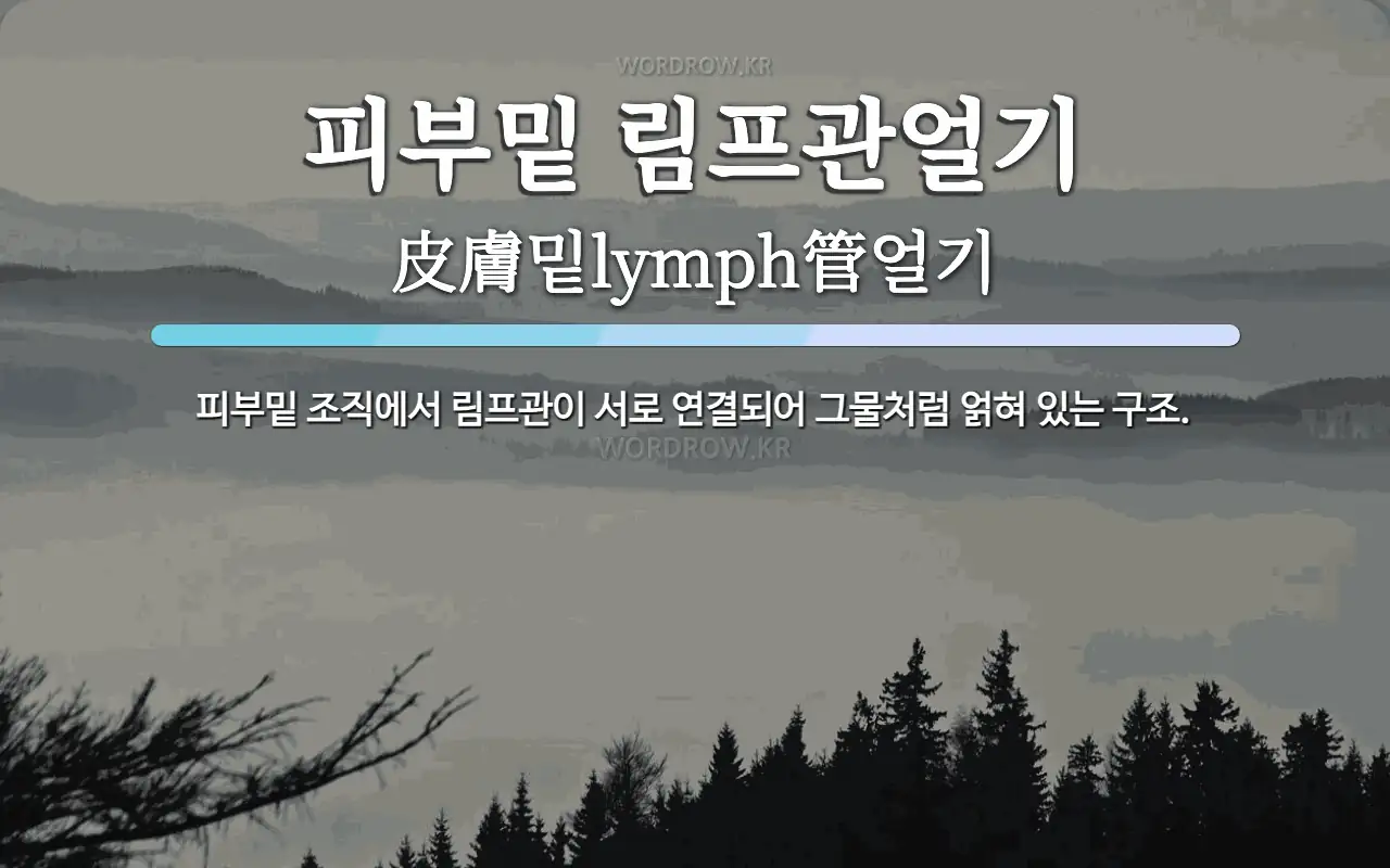 피부밑 림프관얼기 뜻 피부밑 조직에서 림프관이 서로 연결되어 그물처럼 얽혀 있는 구조