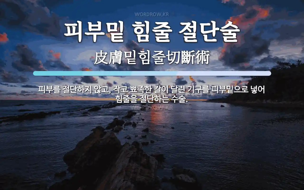 피부밑 힘줄 절단술 뜻 피부를 절단하지 않고 작고 뾰족한 칼이 달린 기구를 피부밑으로 넣어 힘줄을 절단하는 수술