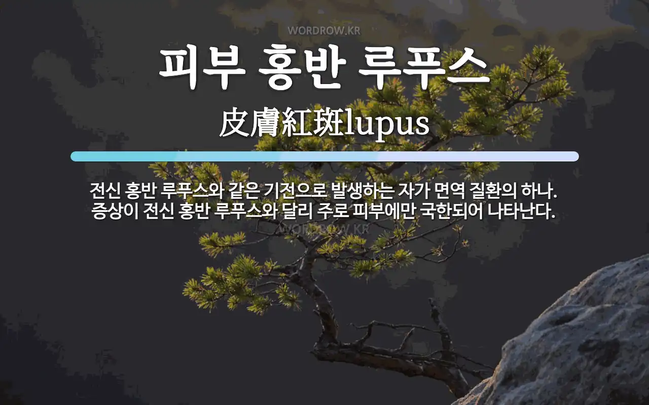 피부 홍반 루푸스 뜻 전신 홍반 루푸스와 같은 기전으로 발생하는 자가 면역 질환의 하나 증상이 전신 홍반 루푸