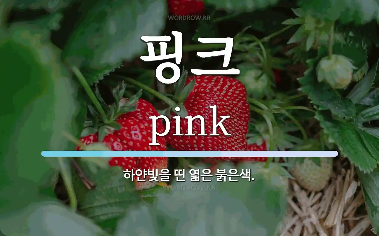 핑크 뜻 하얀빛을 띤 엷은 붉은색