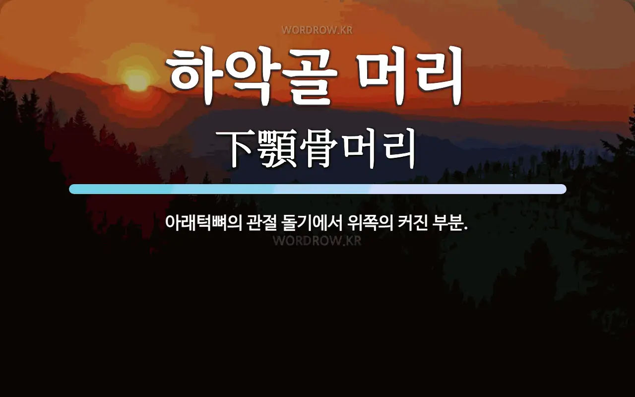 하악골 머리 뜻 아래턱뼈의 관절 돌기에서 위쪽의 커진 부분