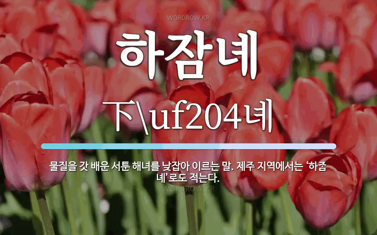 하잠녜 뜻 물질을 갓 배운 서툰 해녀를 낮잡아 이르는 말 제주 지역에서는 ‘하uf204녜로도 적