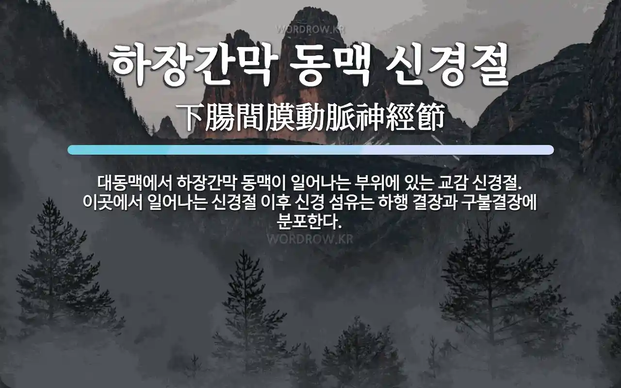 하장간막 동맥 신경절 뜻 대동맥에서 하장간막 동맥이 일어나는 부위에 있는 교감 신경절 이곳에서 일어나는 신경절 이