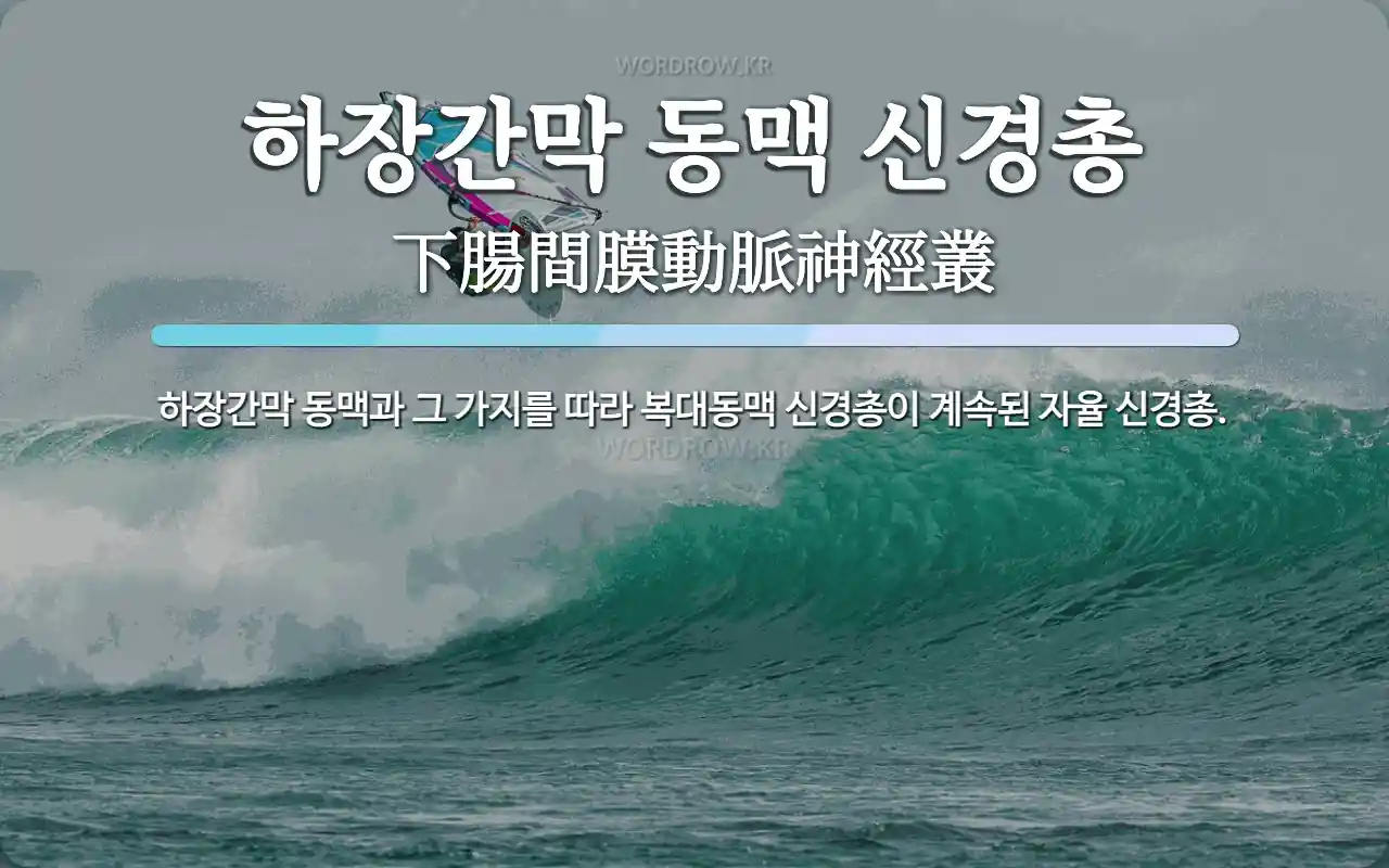 하장간막 동맥 신경총 뜻 하장간막 동맥과 그 가지를 따라 복대동맥 신경총이 계속된 자율 신경총