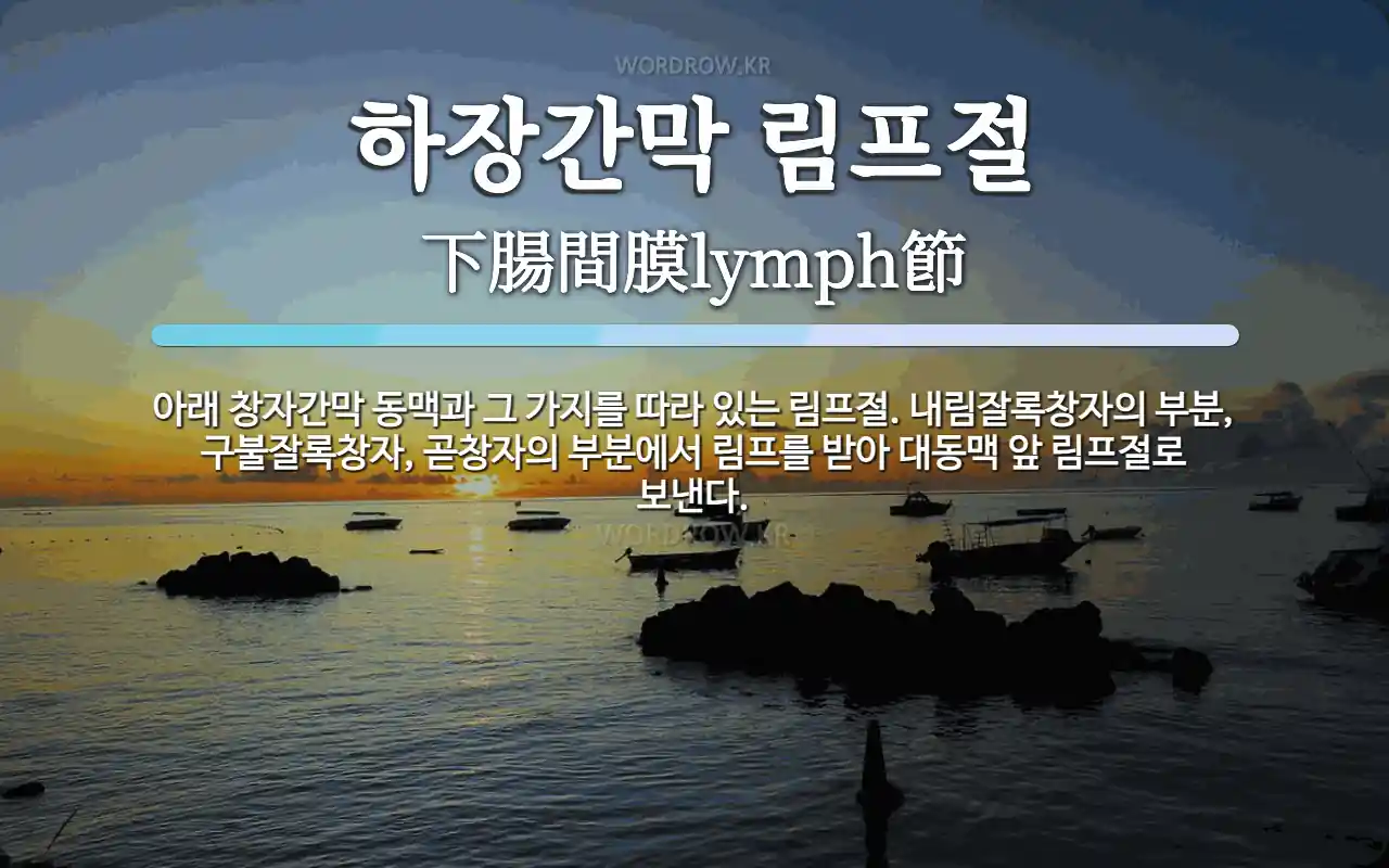 하장간막 림프절 뜻 아래 창자간막 동맥과 그 가지를 따라 있는 림프절 내림잘록창자의 부분 구불잘록창자 곧