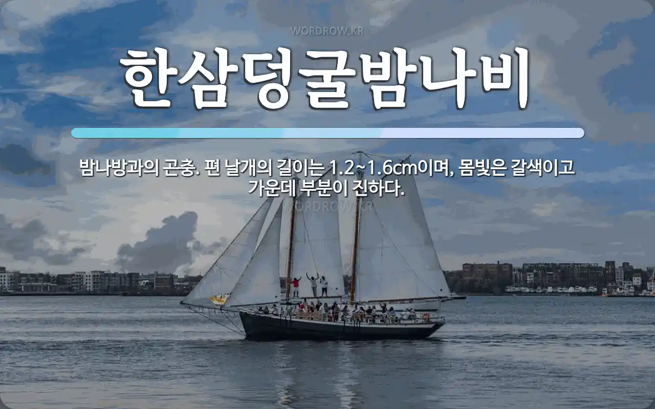 한삼덩굴밤나비 뜻 밤나방과의 곤충 편 날개의 길이는 12~16cm이며 몸빛은 갈색이고 가운데 부분이